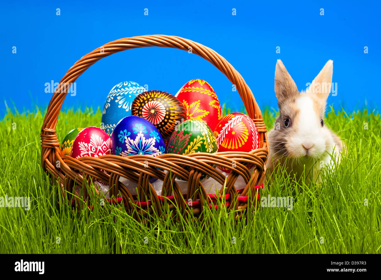 Easter bunny egg grass hi-res stock photography and images - Alamy