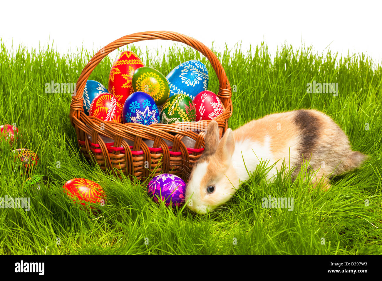 Basket of egg hi-res stock photography and images - Alamy