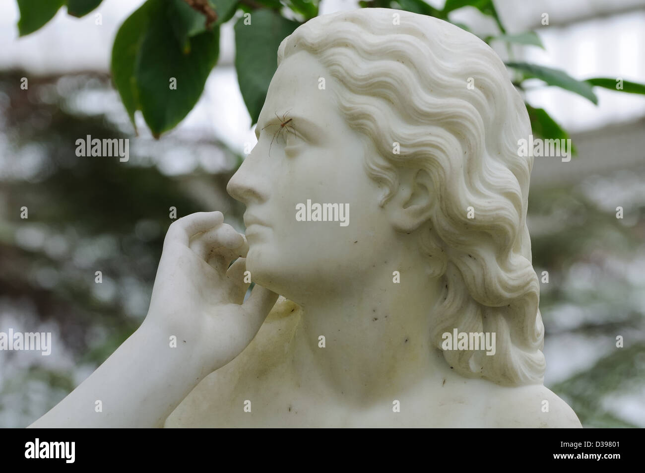A spider sits on the eye of "Eve" 1875-1880. This statue was made by ...