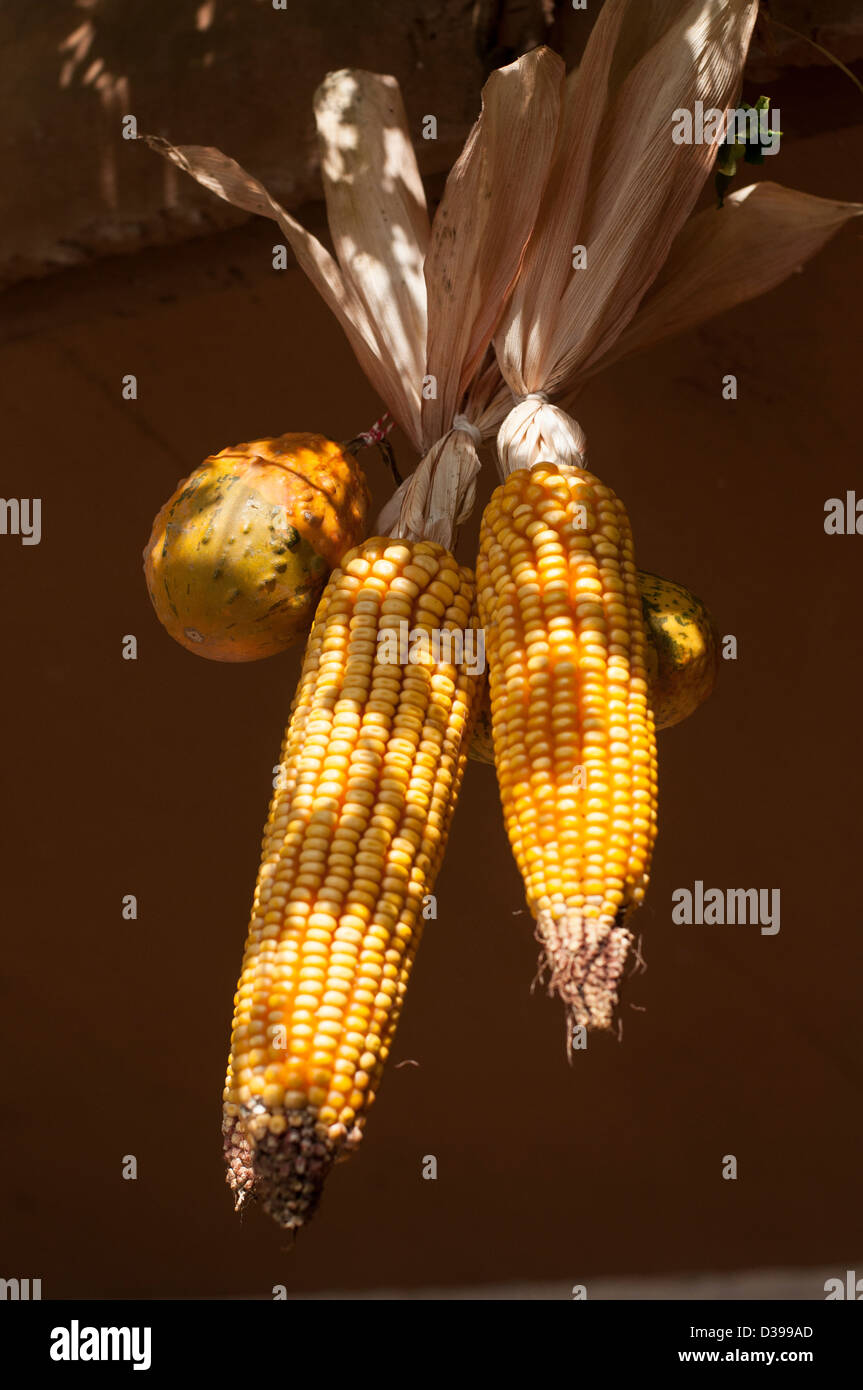 Drying maize hi-res stock photography and images - Alamy
