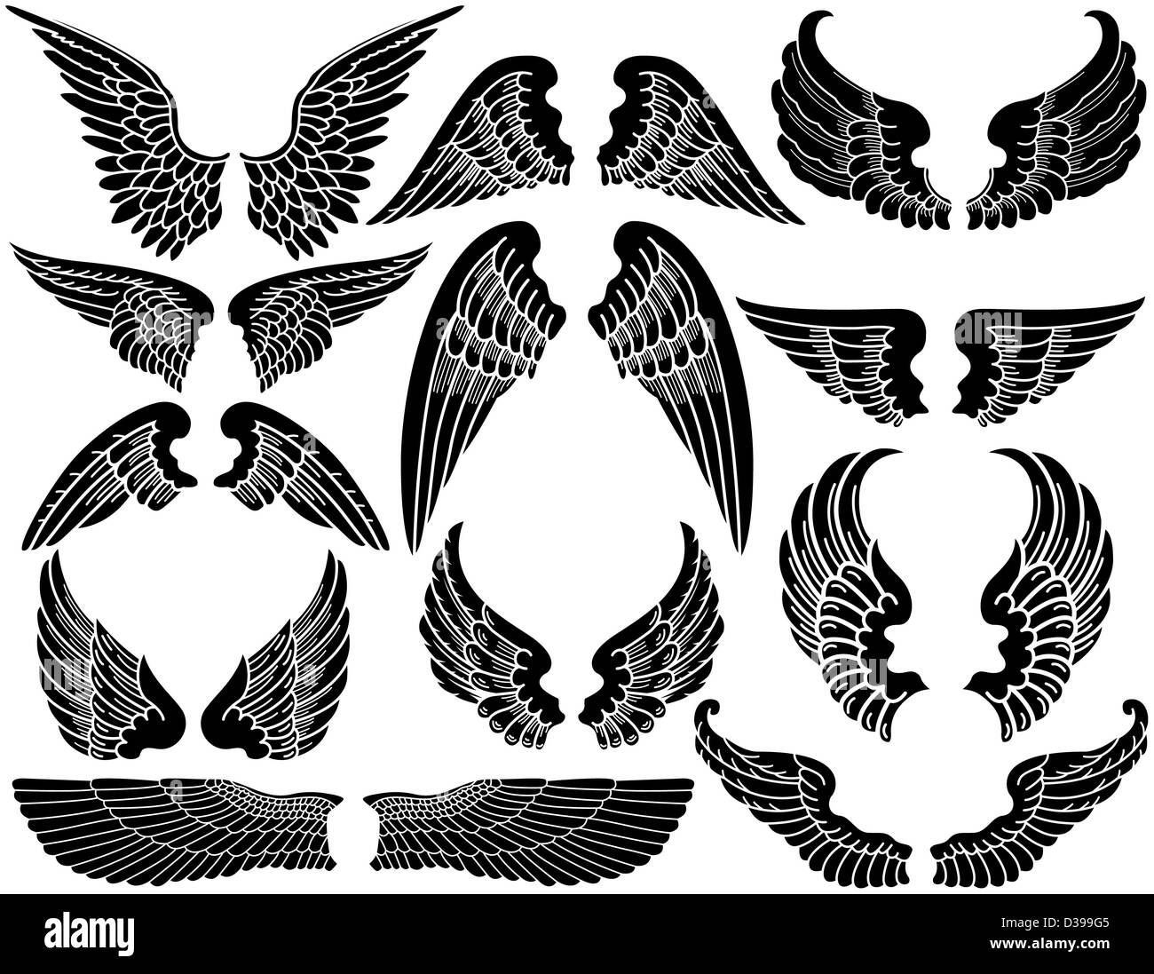 Twelve Sets of Angel Wings Stock Photo - Alamy
