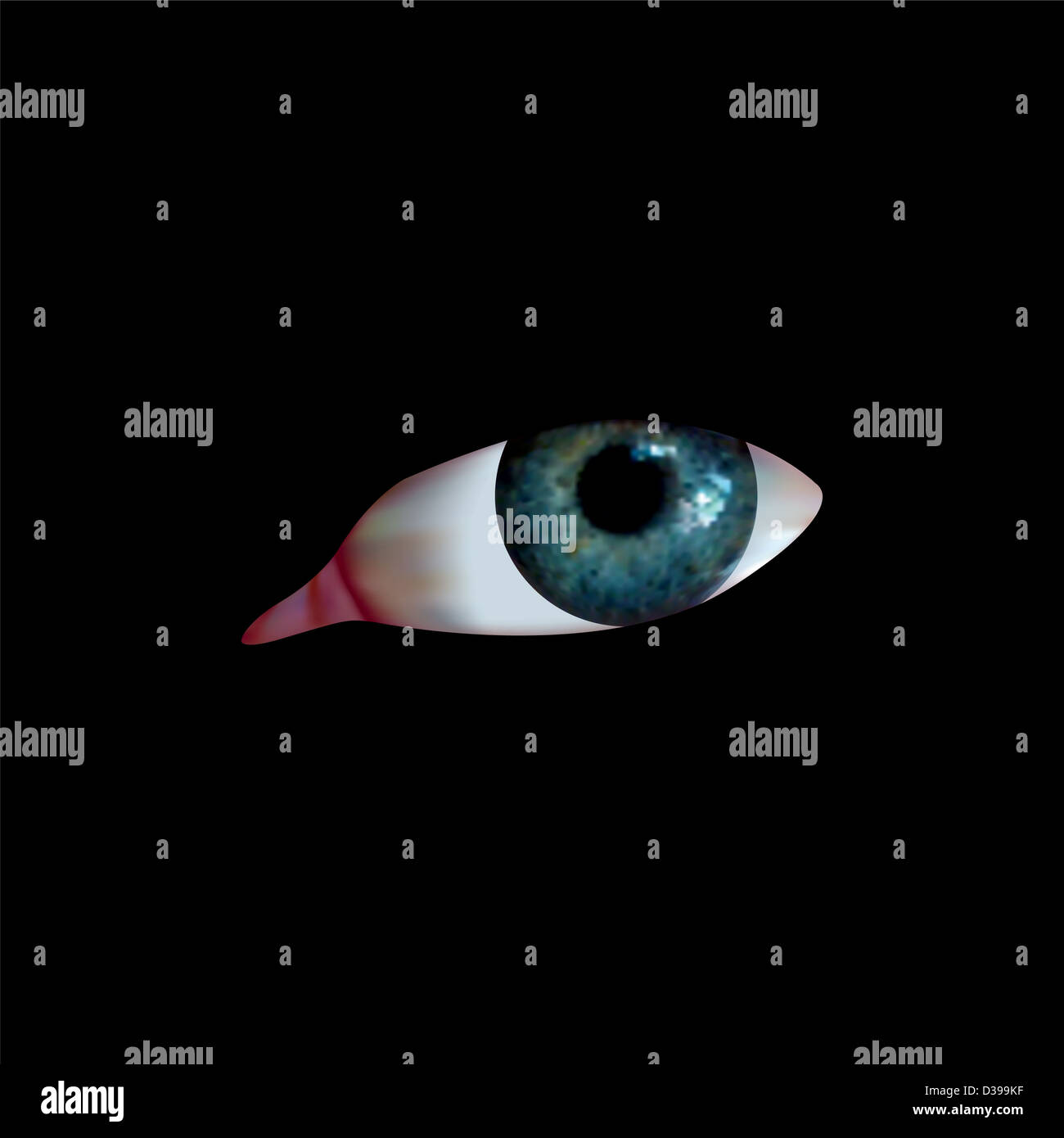 Eyeball watching you Stock Photo - Alamy