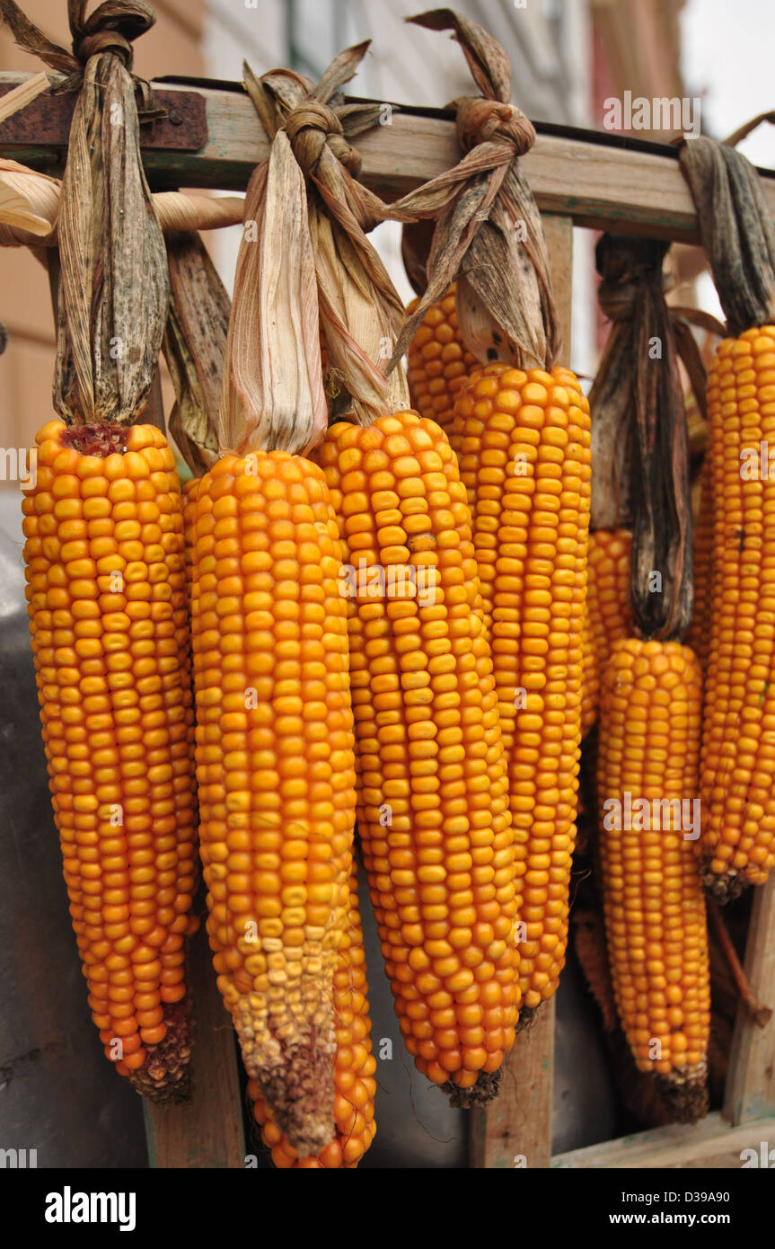 Maize drying hi-res stock photography and images - Alamy