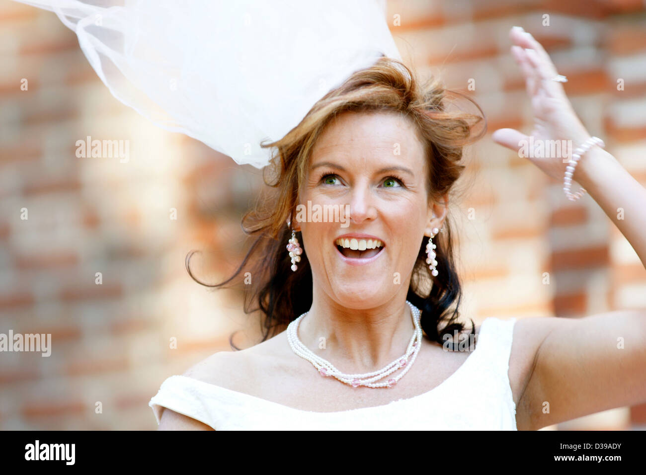 Bride with veil blowing in the wind Stock Photo - Alamy