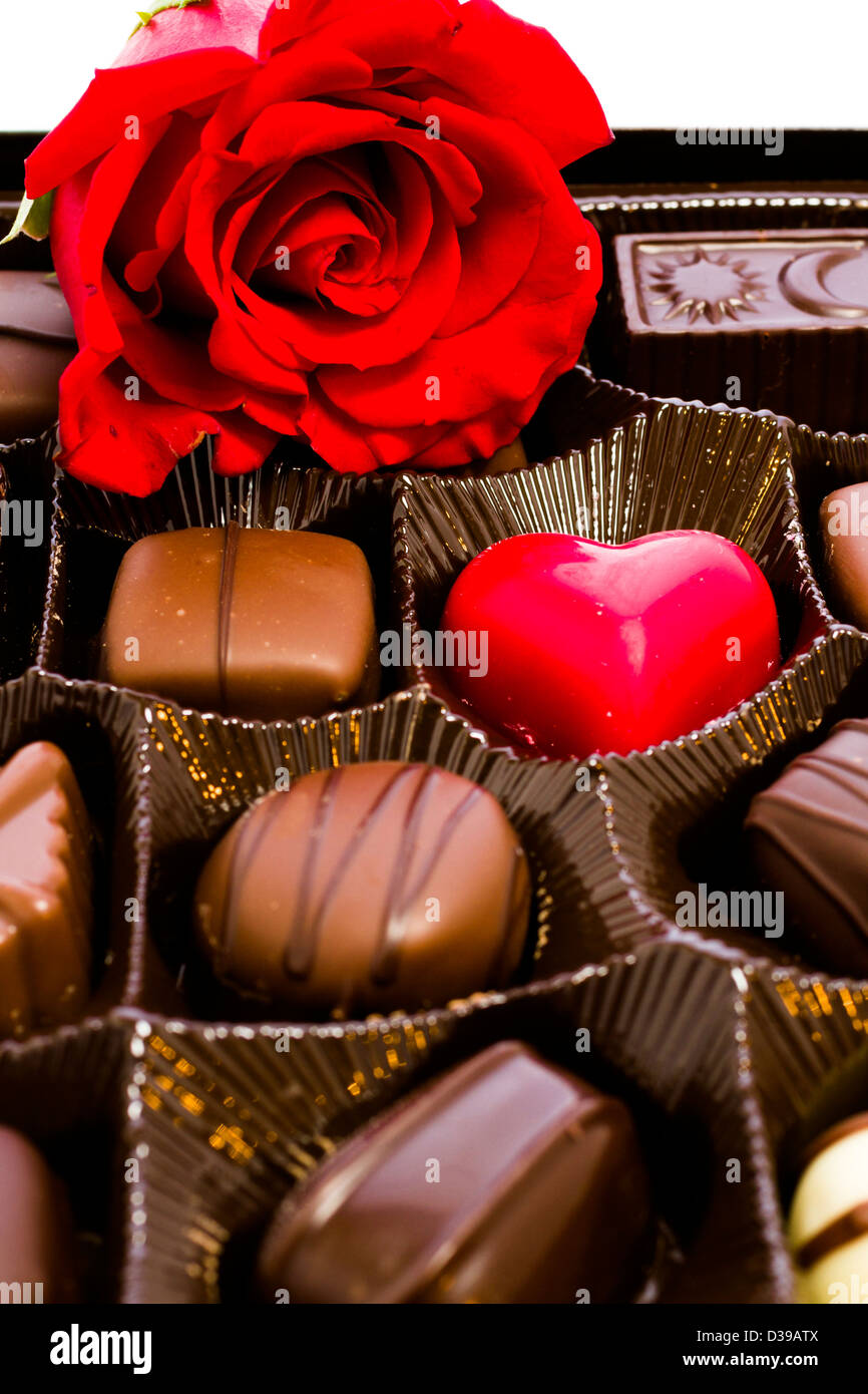 Assorted gourmet chocolate in a box Stock Photo - Alamy