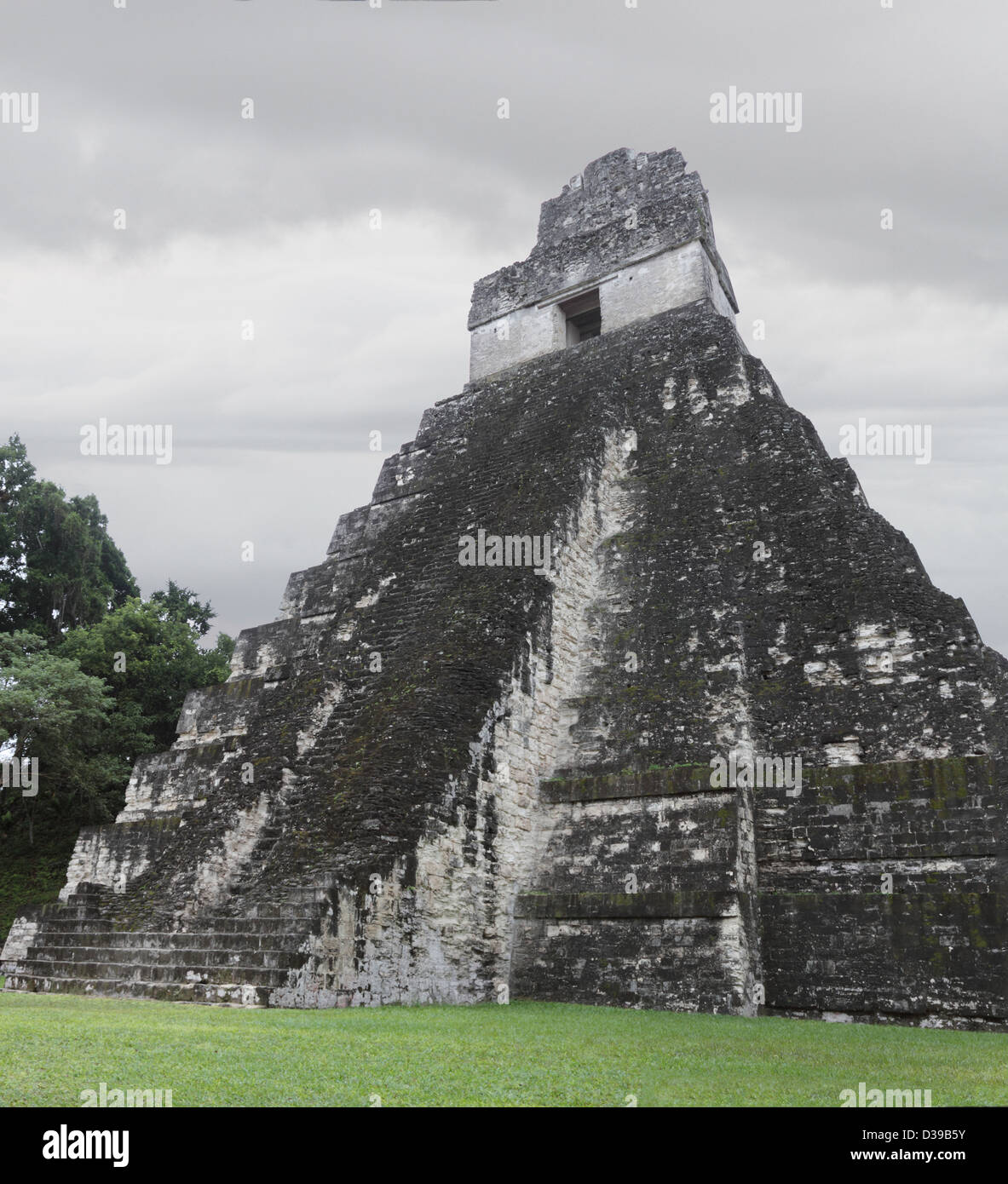 Tikal guatemala forest temple maya mayan temple hi-res stock ...