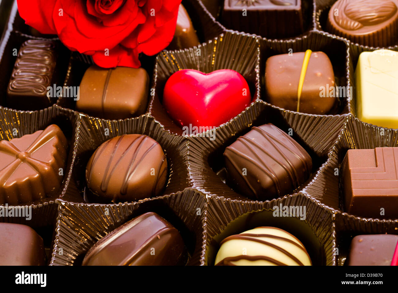 Gourmet Chocolates In A Box at Rick Scott blog