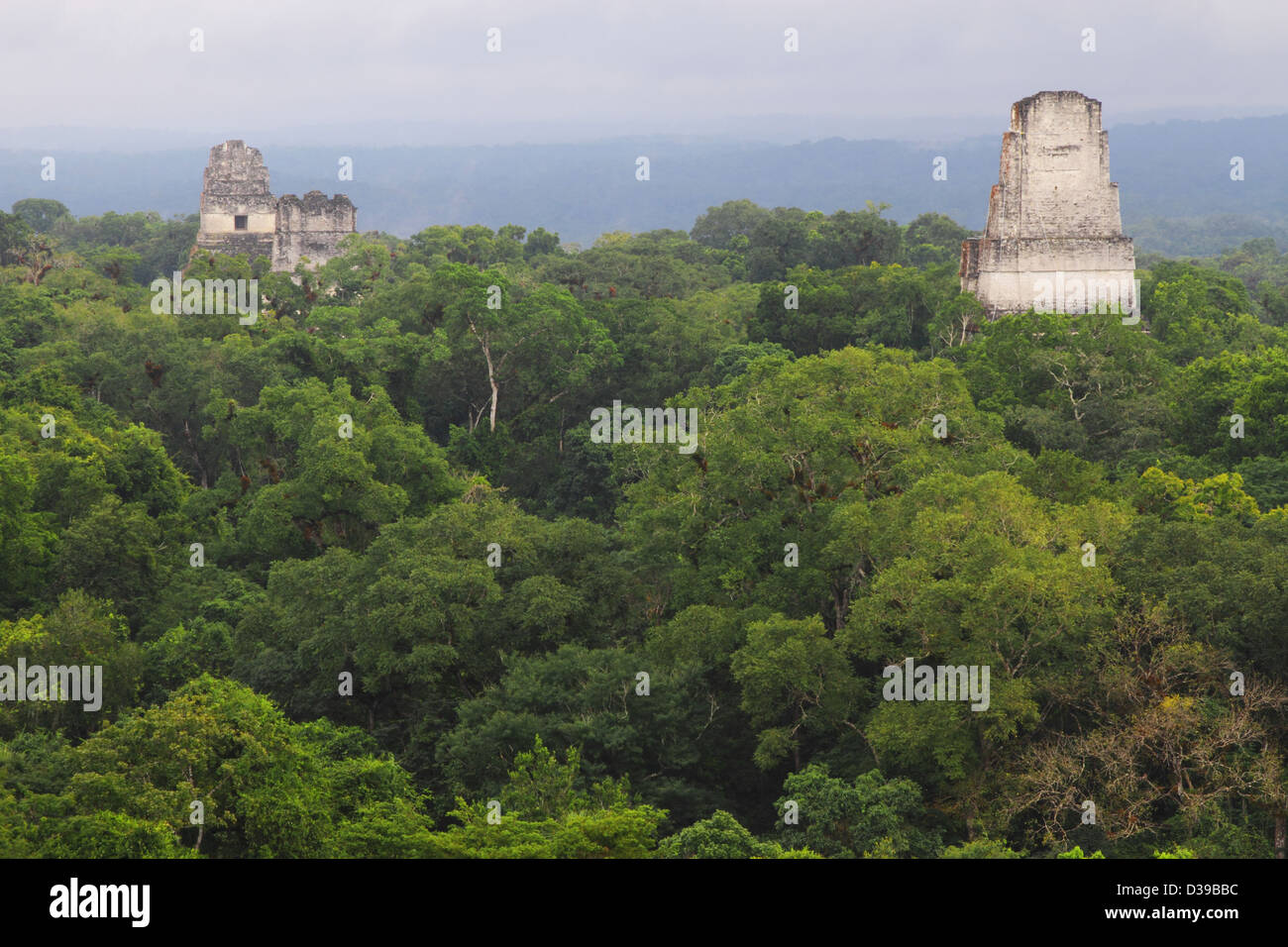 A view of the beautiful ruins of the Mayan city of Tikal in modern day ...
