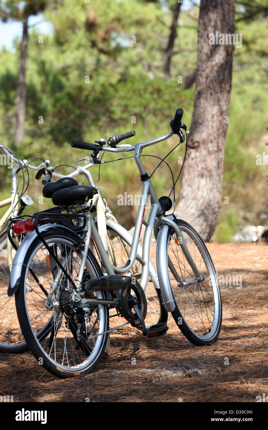 three bikes in the park Stock Photo - Alamy