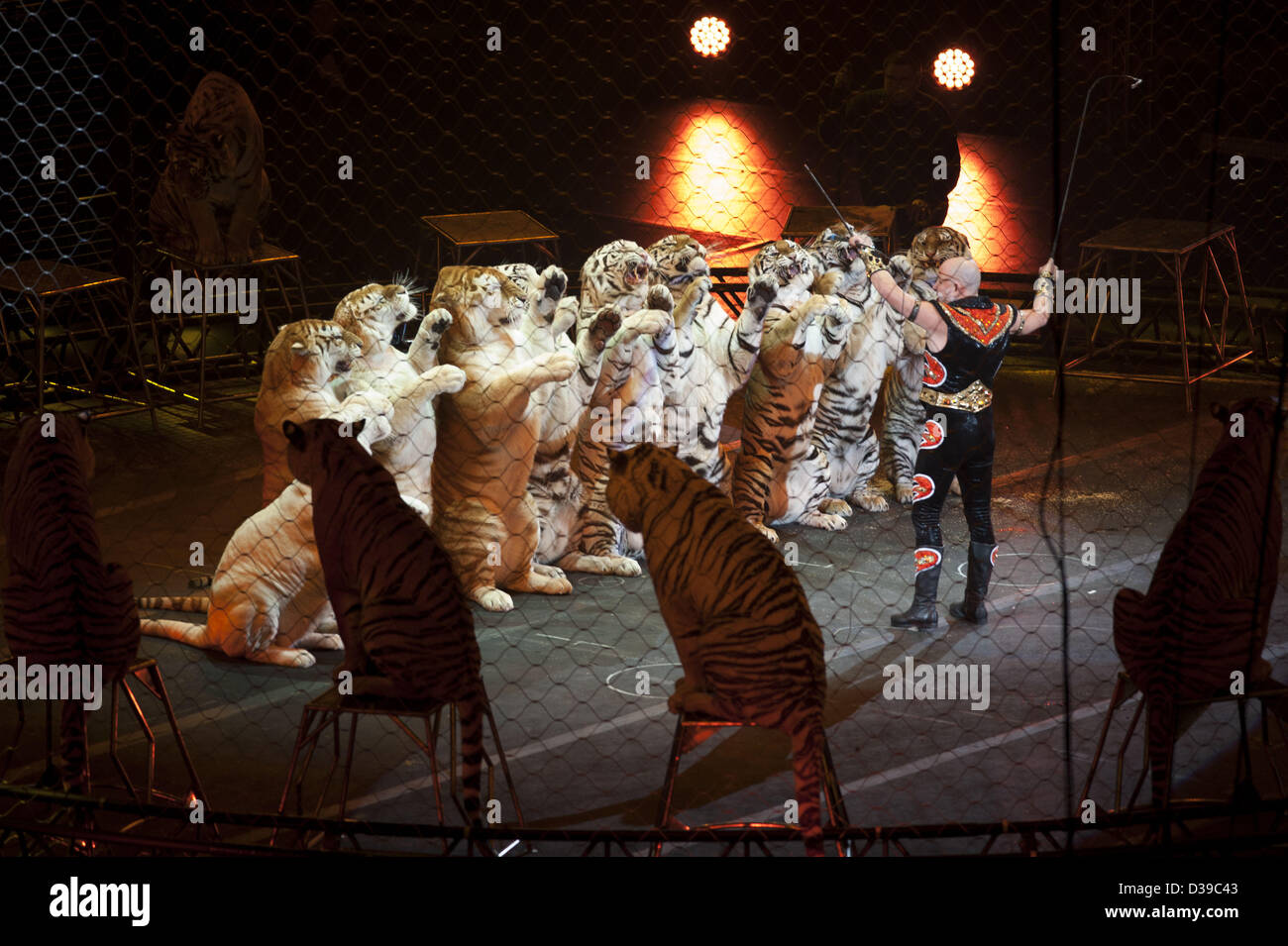 Circus show tiger tamer hi-res stock photography and images - Alamy