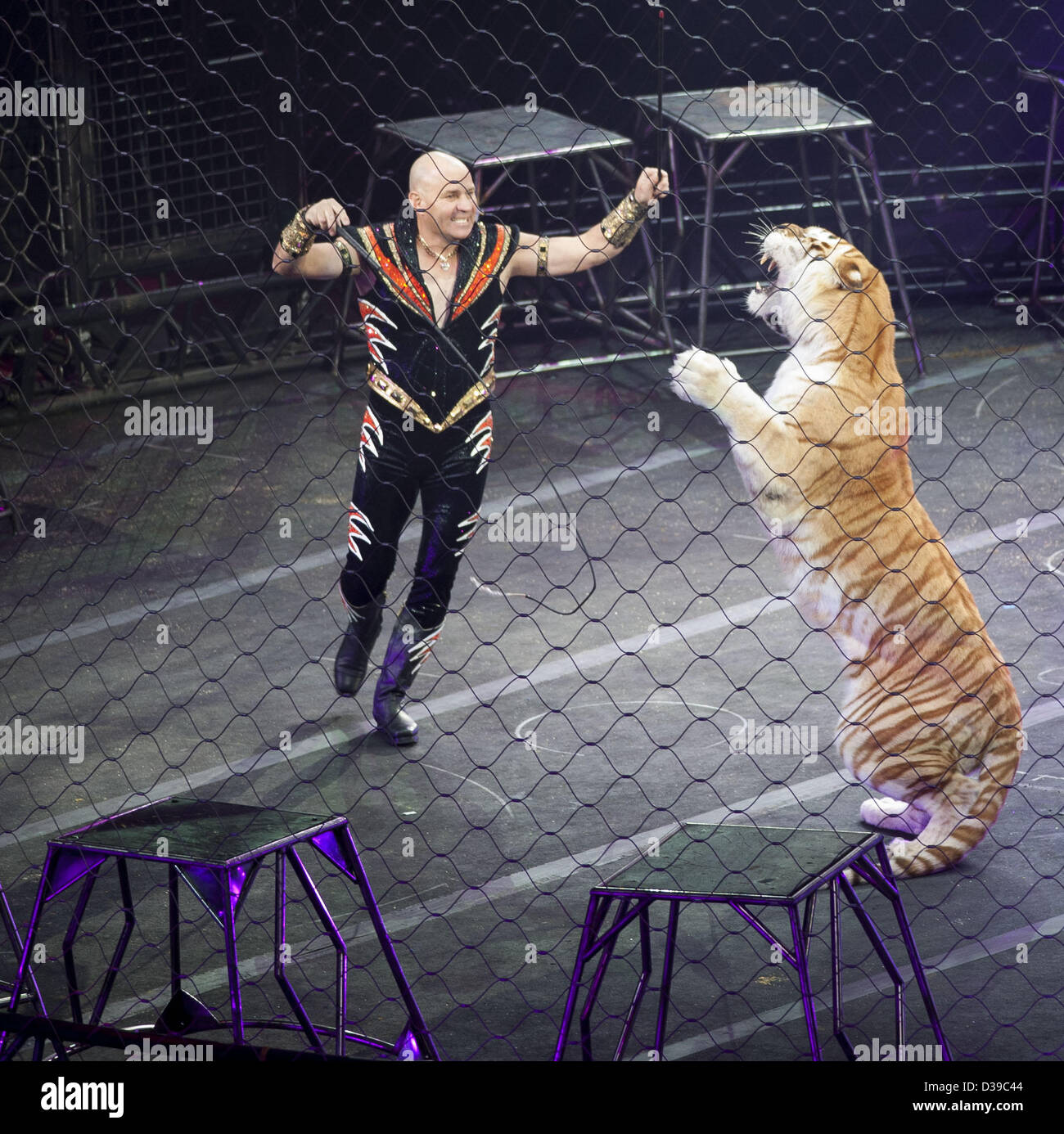 Philadelphia, Pennsylvania, USA. 13th February 2013. Tiger tamer ...