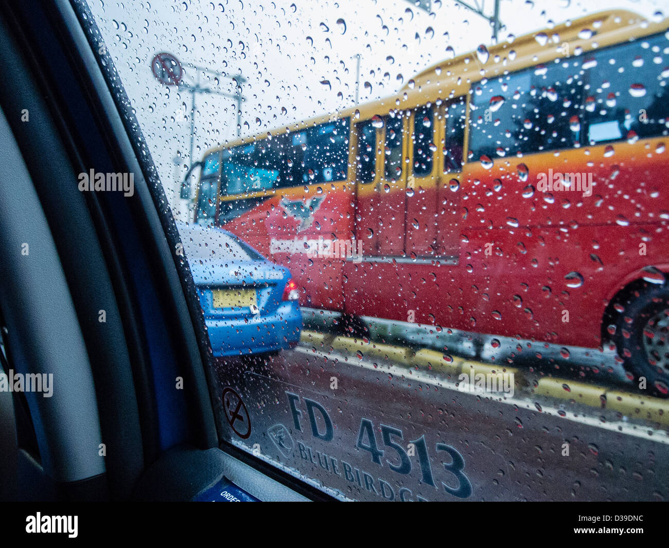 Blue bird taxi hi-res stock photography and images - Alamy