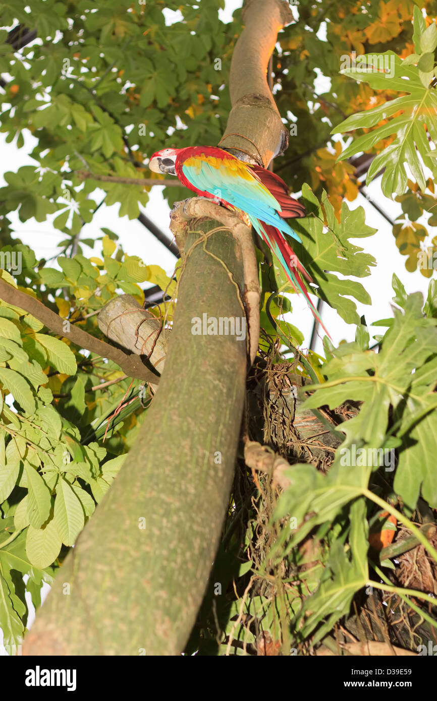 Randers Zoo High Resolution Stock Photography and Images - Alamy