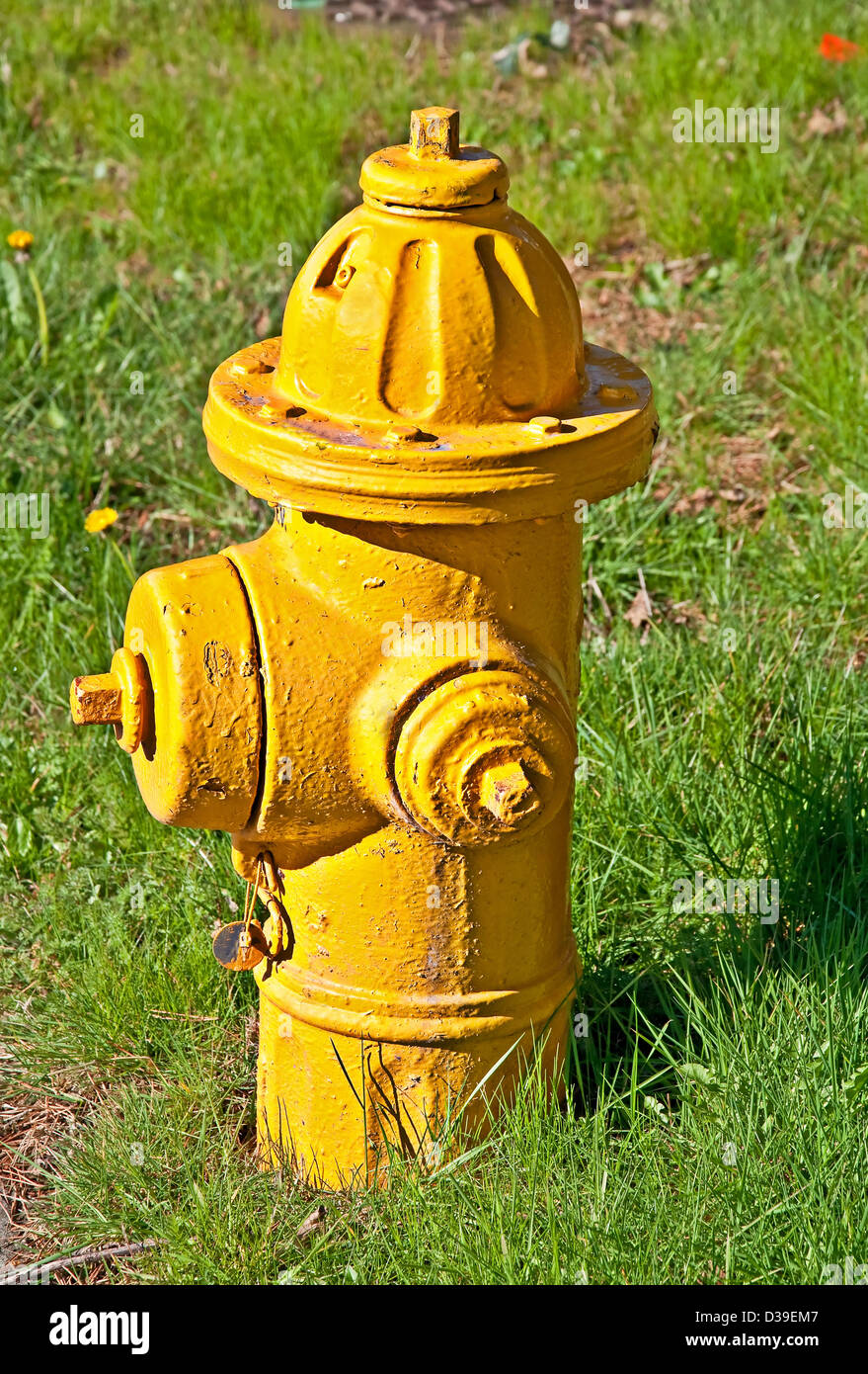 This is a closeup of a plain yellow fire hydrant in a vertical format ...