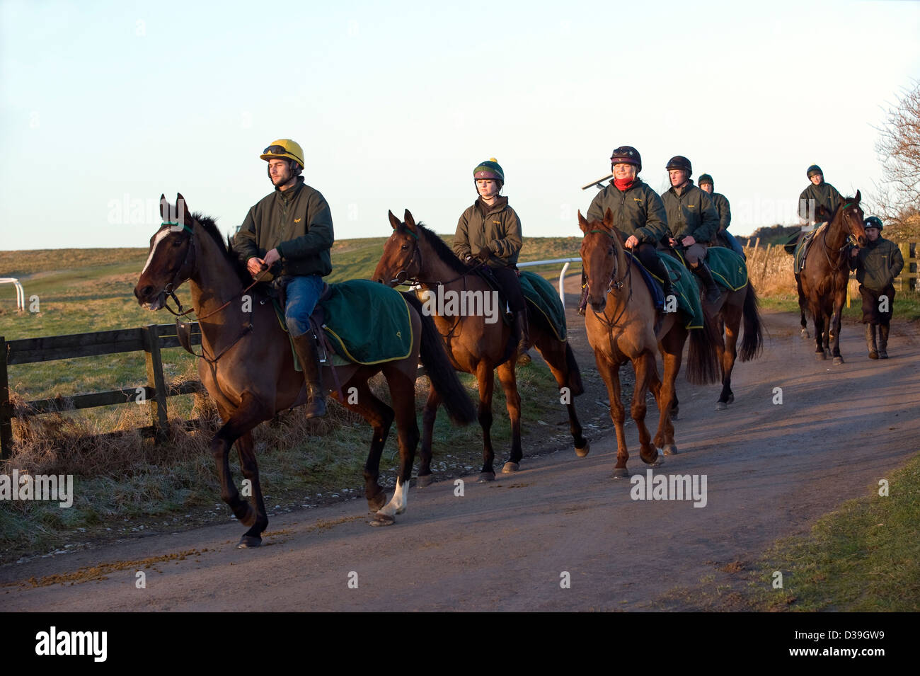 Horse and trainer hi-res stock photography and images - Alamy