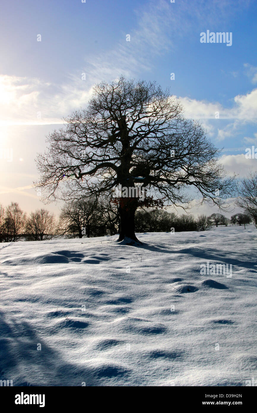 Winter scene, with heavy snow Stock Photo - Alamy