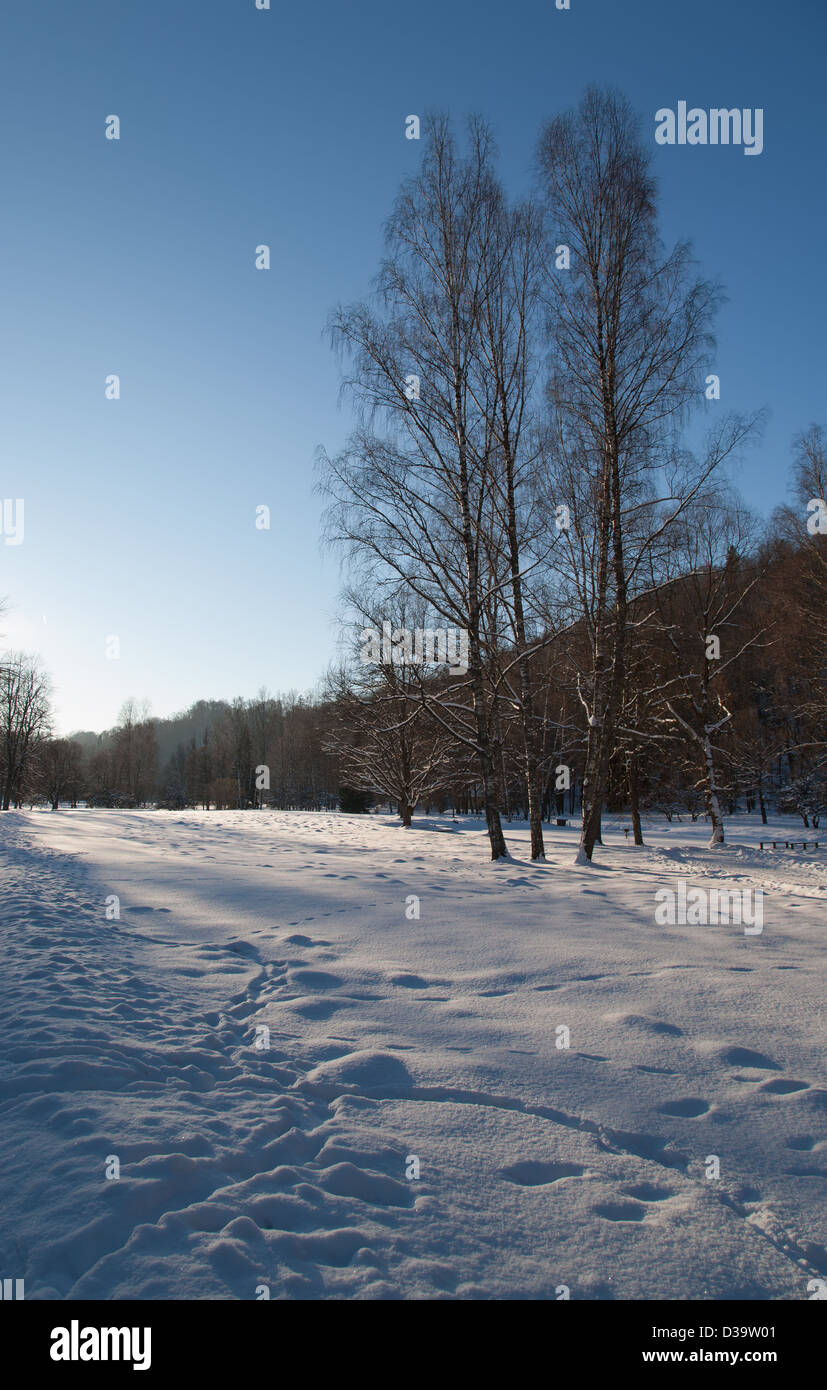 Cold day russian winter polar life Stock Photo - Alamy