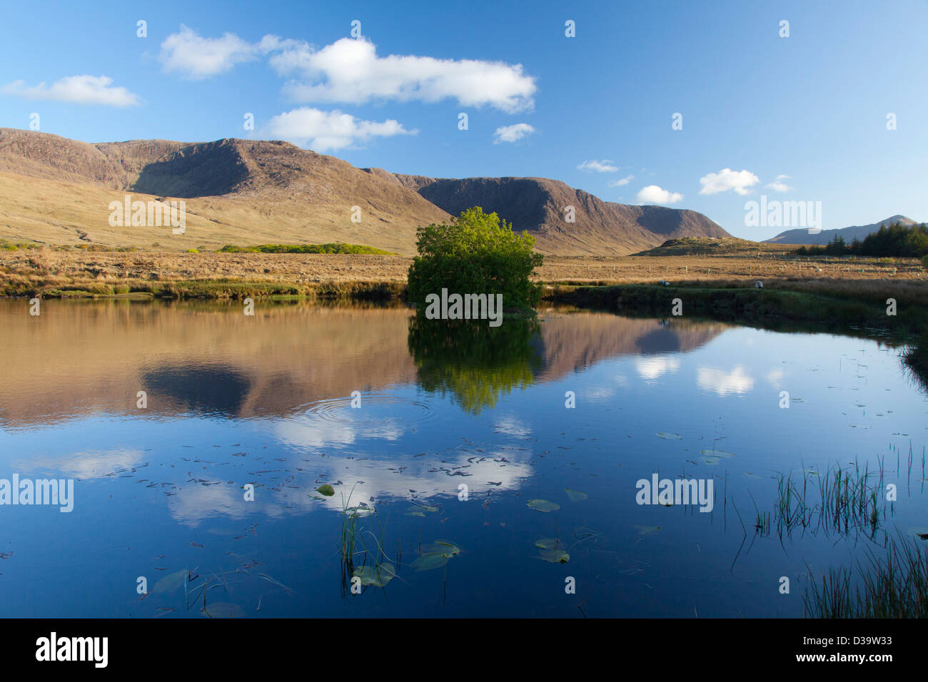 Reflections rivers hi-res stock photography and images - Alamy