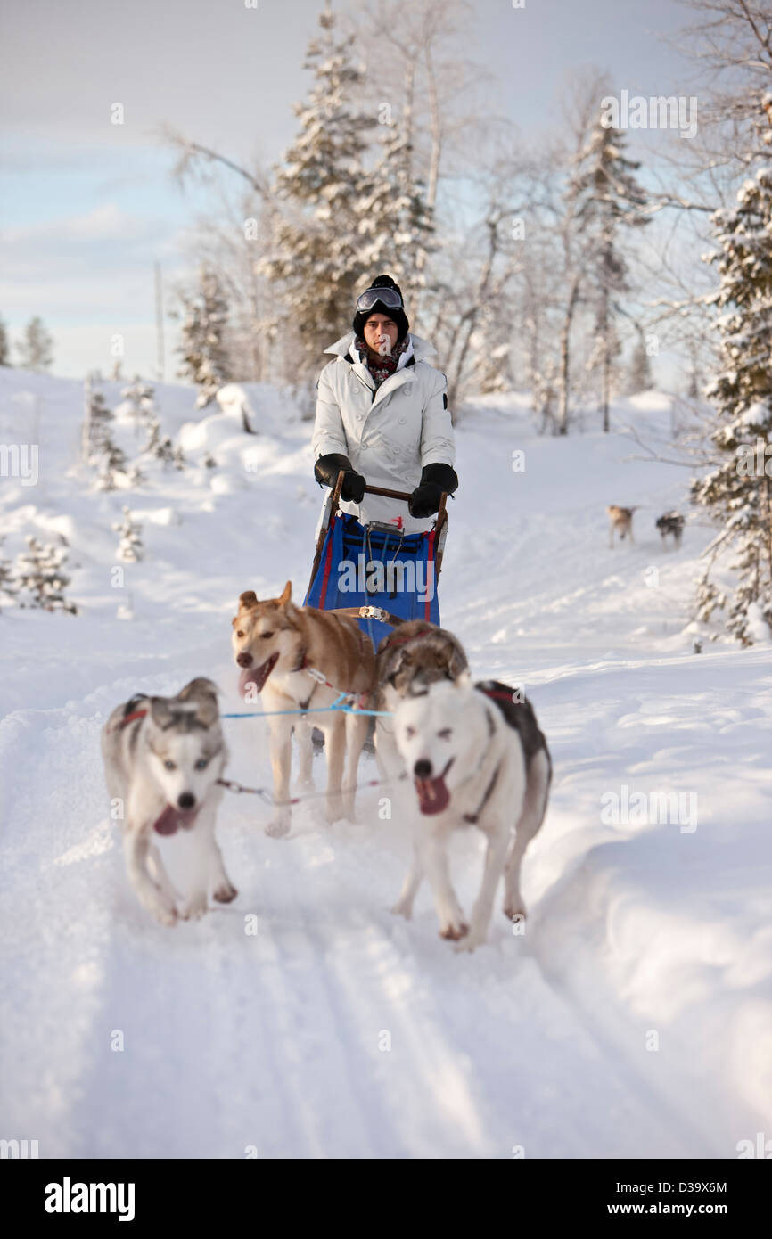 Huskies pulling sled along snow, Lapland Stock Photo - Alamy