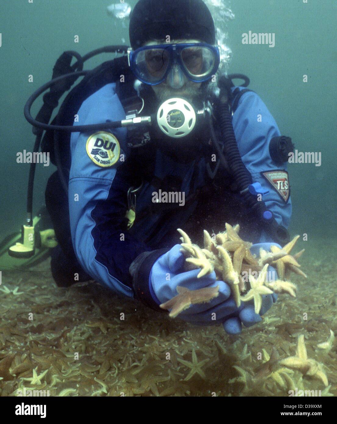 Starfish bed hi-res stock photography and images - Alamy