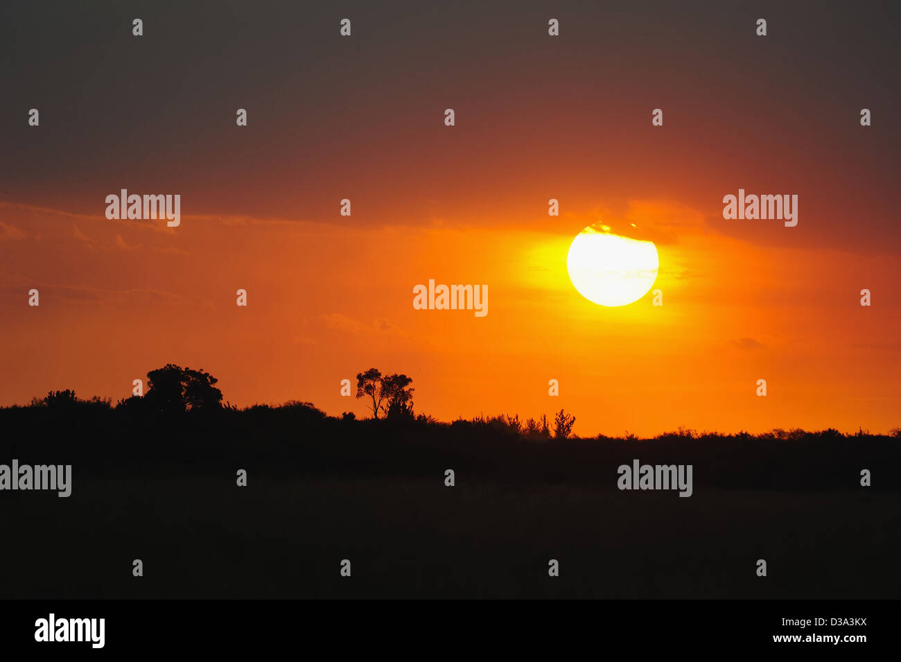 Sunset at masai mara hi-res stock photography and images - Alamy