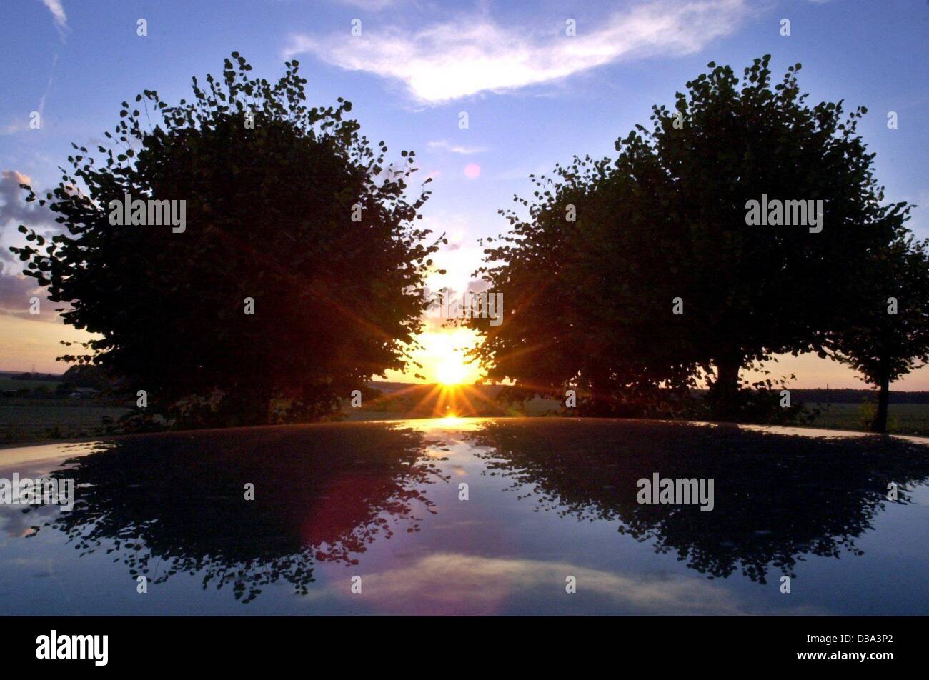 Deu feature tree hi-res stock photography and images - Alamy