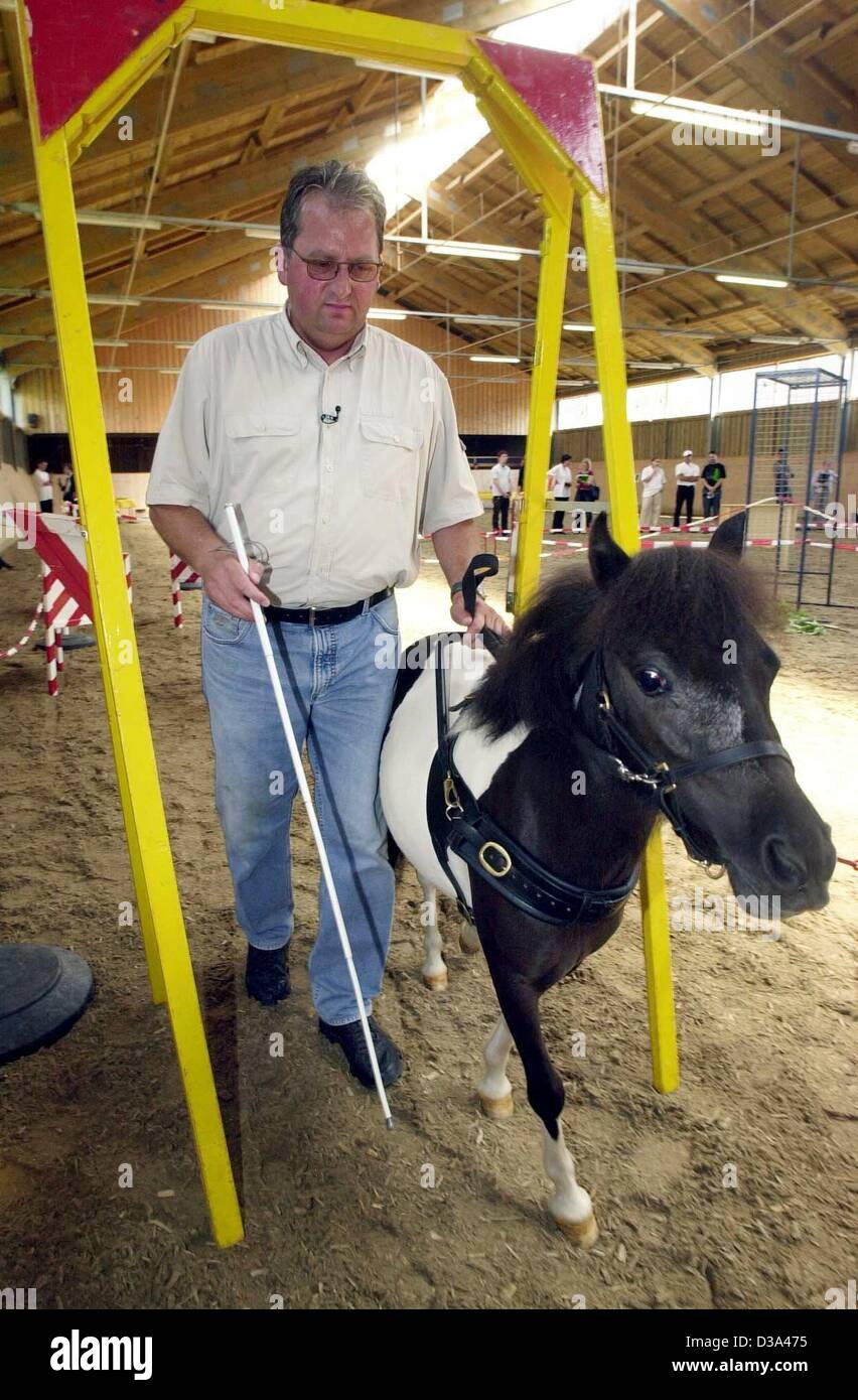 Animal guiding hi-res stock photography and images - Alamy