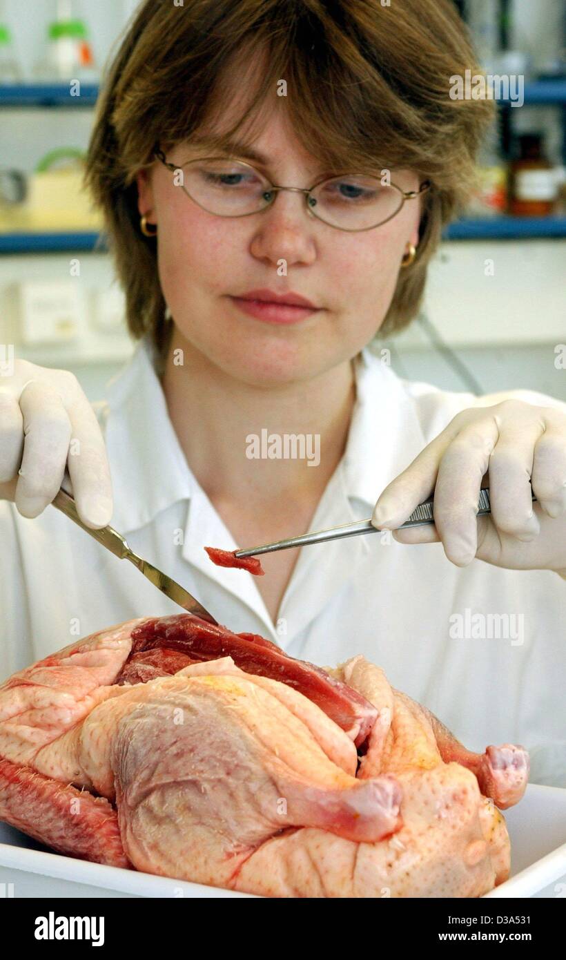 The duck test hi-res stock photography and images - Alamy