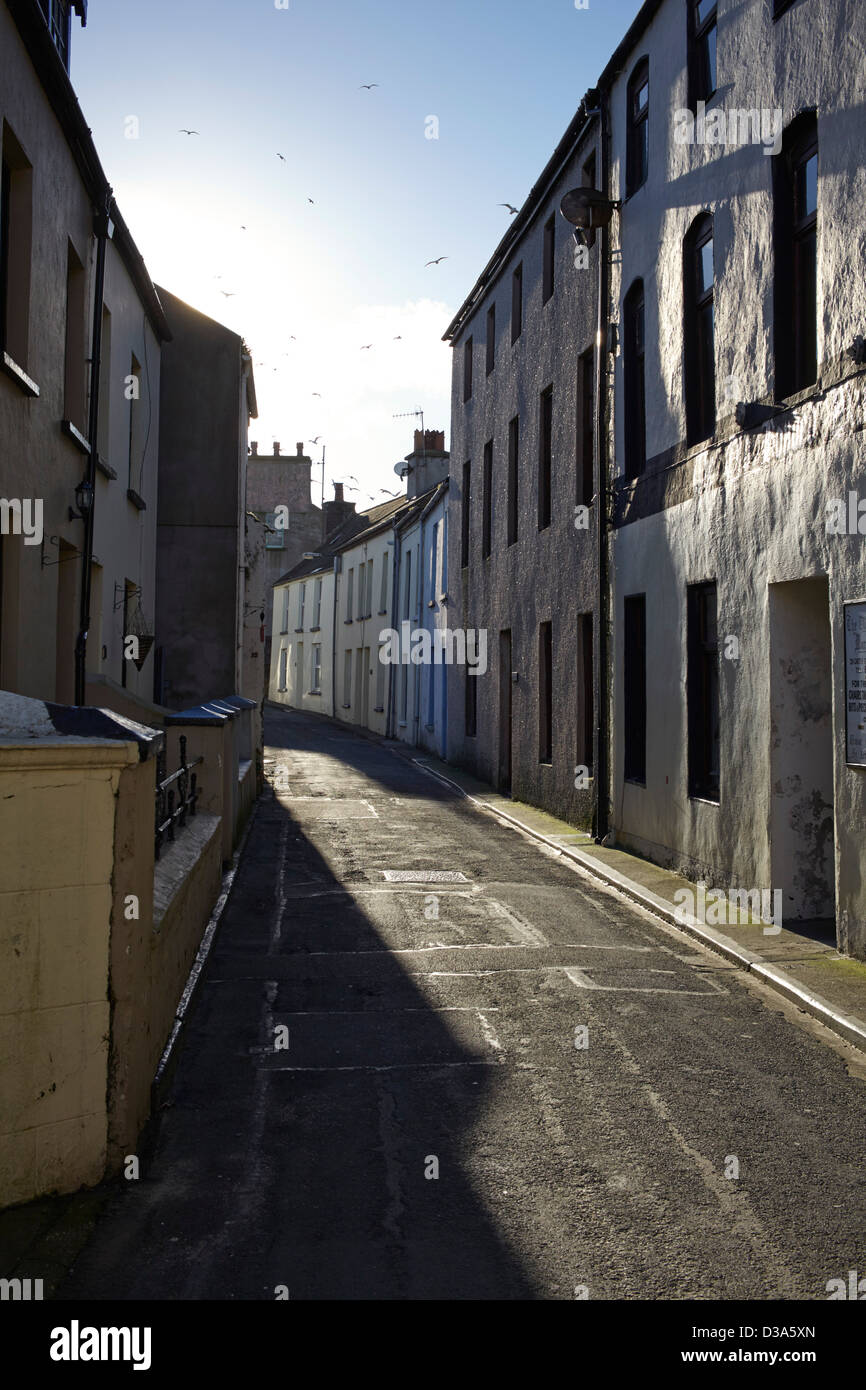 Peel street with view of houses, sky with seagulls Stock Photo - Alamy