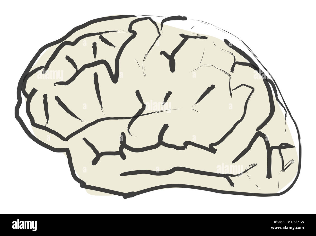 Brain illustration Cut Out Stock Images & Pictures - Alamy