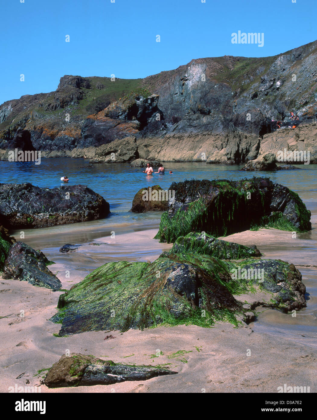 Kynance Cove is a cove on the eastern side of Mount's Bay, Cornwall ...