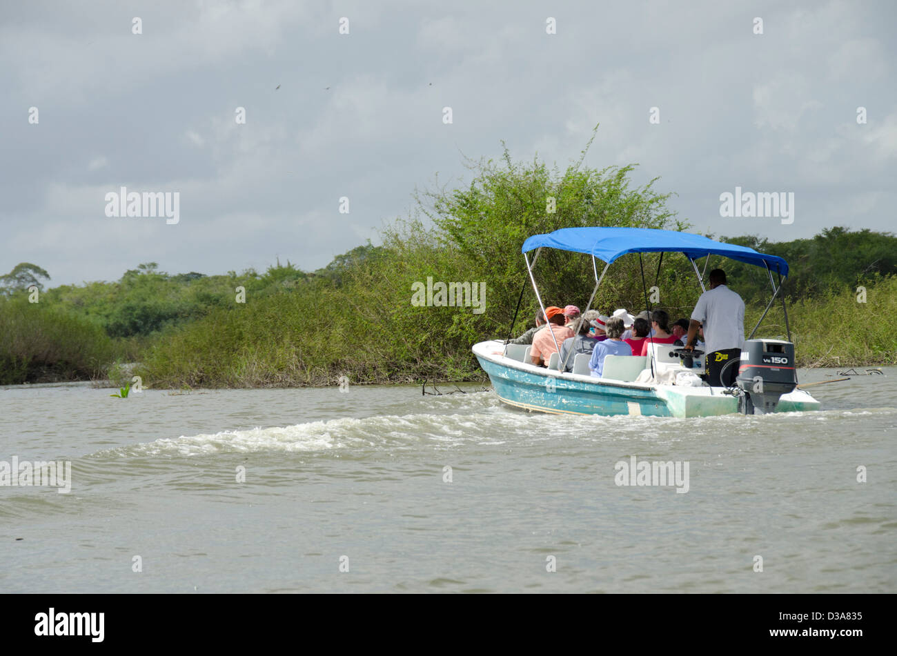 Belize, Crooked Tree Wildlife Sanctuary. Wildlife sight seeing boat ...