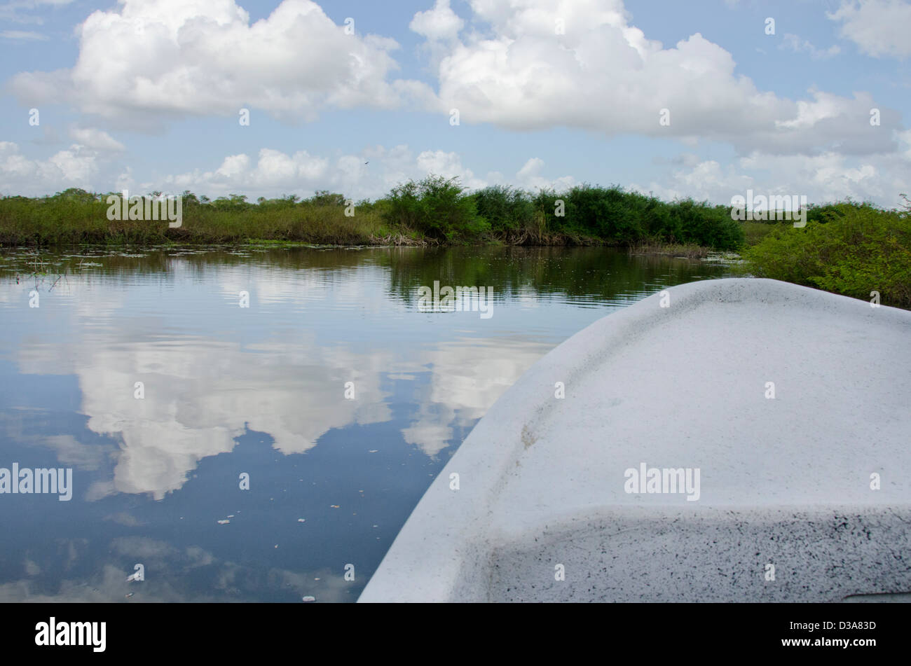 Belize, Crooked Tree Wildlife Sanctuary. Wildlife sight seeing boat ...