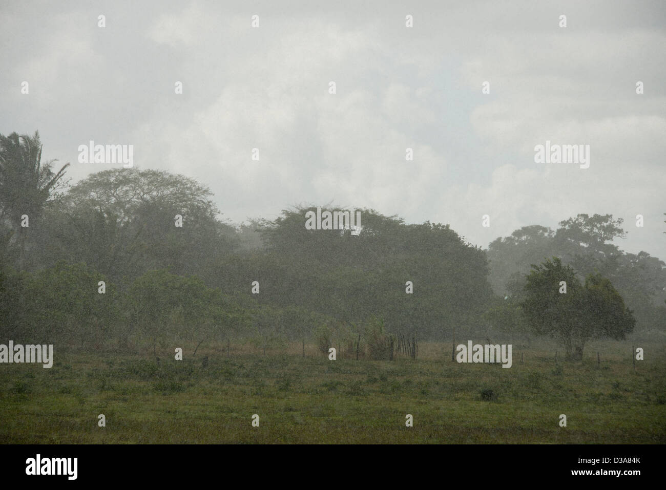 Belize, Crooked Tree Wildlife Sanctuary. Sub-tropical rain storm Stock ...
