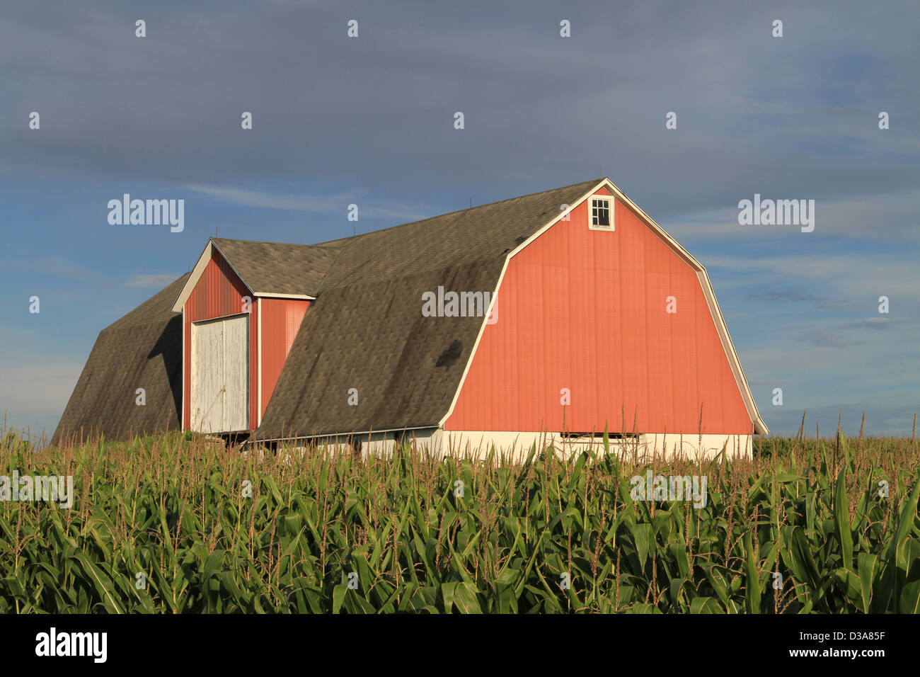 Red barn with corn hi-res stock photography and images - Alamy
