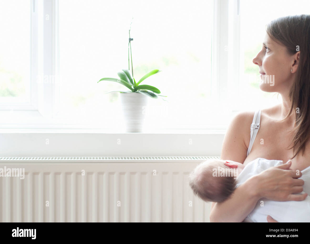 Mother nursing infant son by window Stock Photo - Alamy Mother nursing infant son by window Stock Photo - Alamy