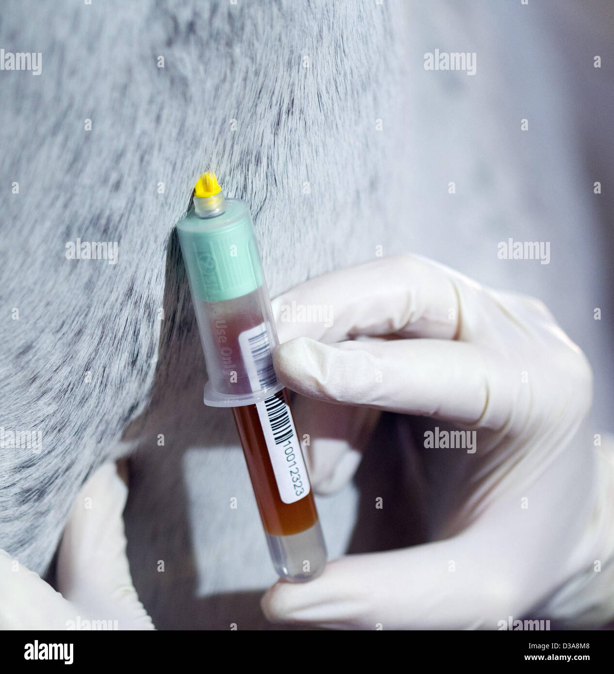 FILE - A file photo dated 09 January 2013 shows a syringe and a tube ...