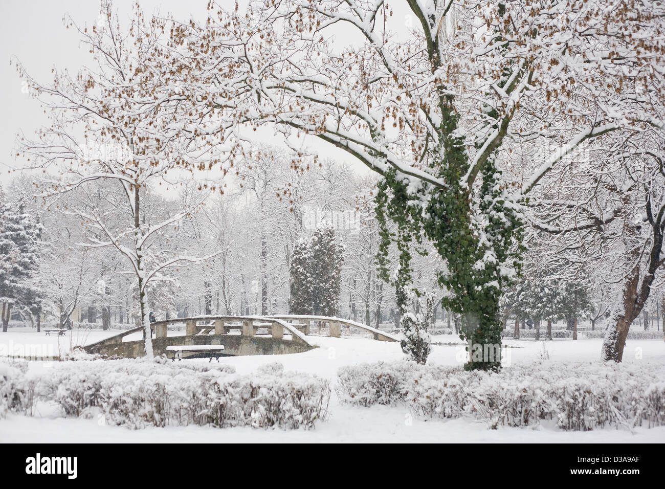 Thick snow and cold weather, winter afernoon Stock Photo - Alamy