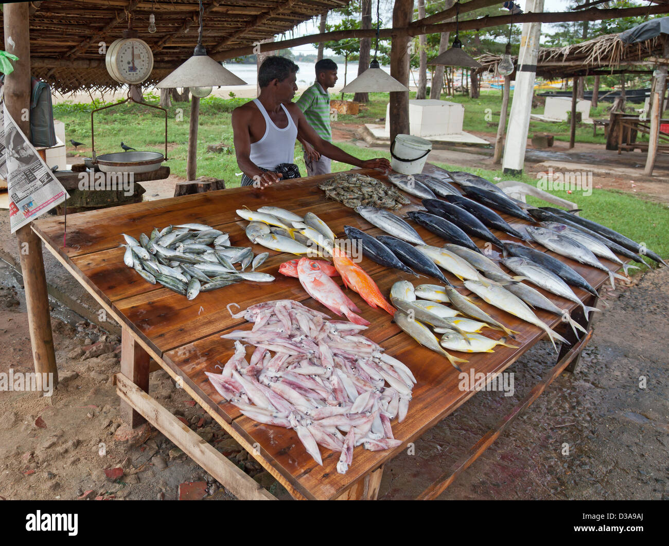 Two stallholders attend their fresh fish stall in Mirissa, southern Sri ...