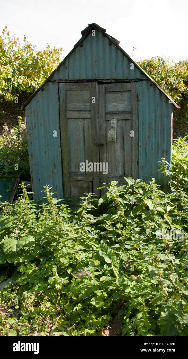 Overgrown allotment shed Stock Photo - Alamy