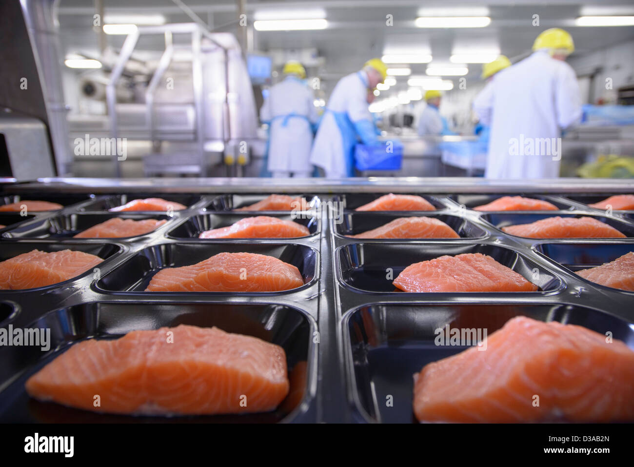 Salmon food factory women hi-res stock photography and images - Alamy