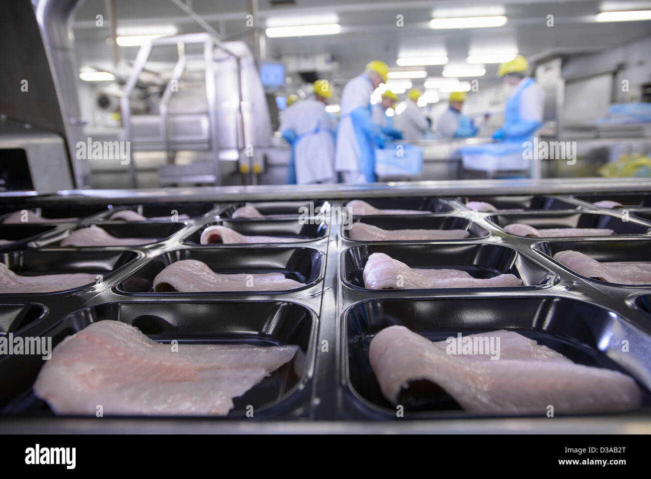 Packaging Fish High Resolution Stock Photography and Images - Alamy