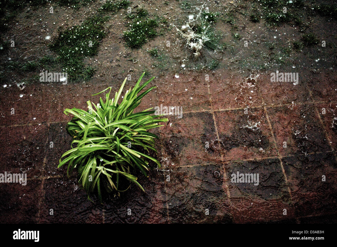 Rain water drop on the floor hi-res stock photography and images - Alamy