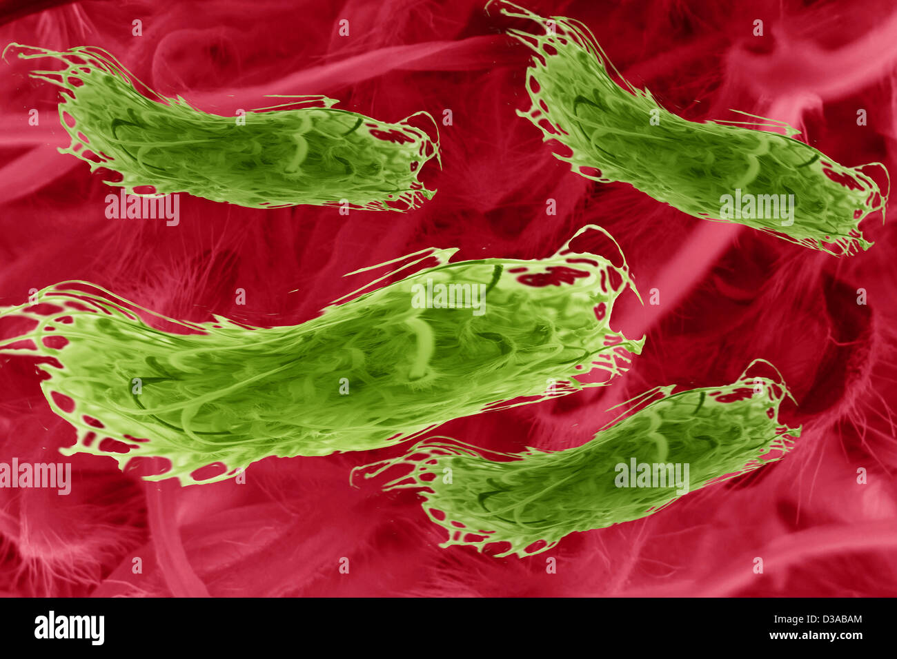 Microbes drawing hi-res stock photography and images - Alamy