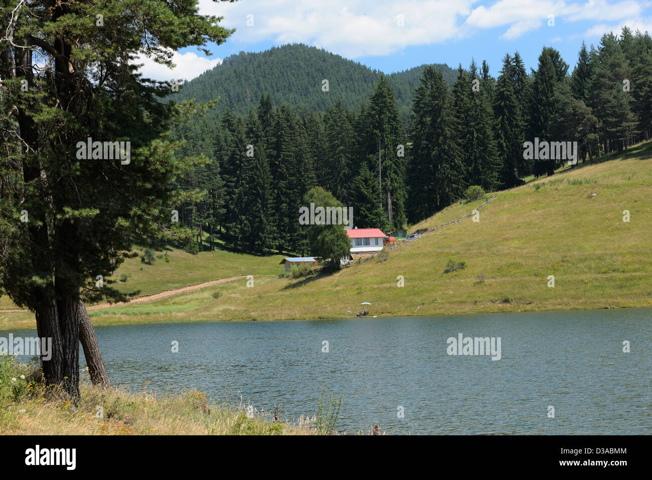 Summer scenery of little villa house at Dospat lake in Rhodope ...