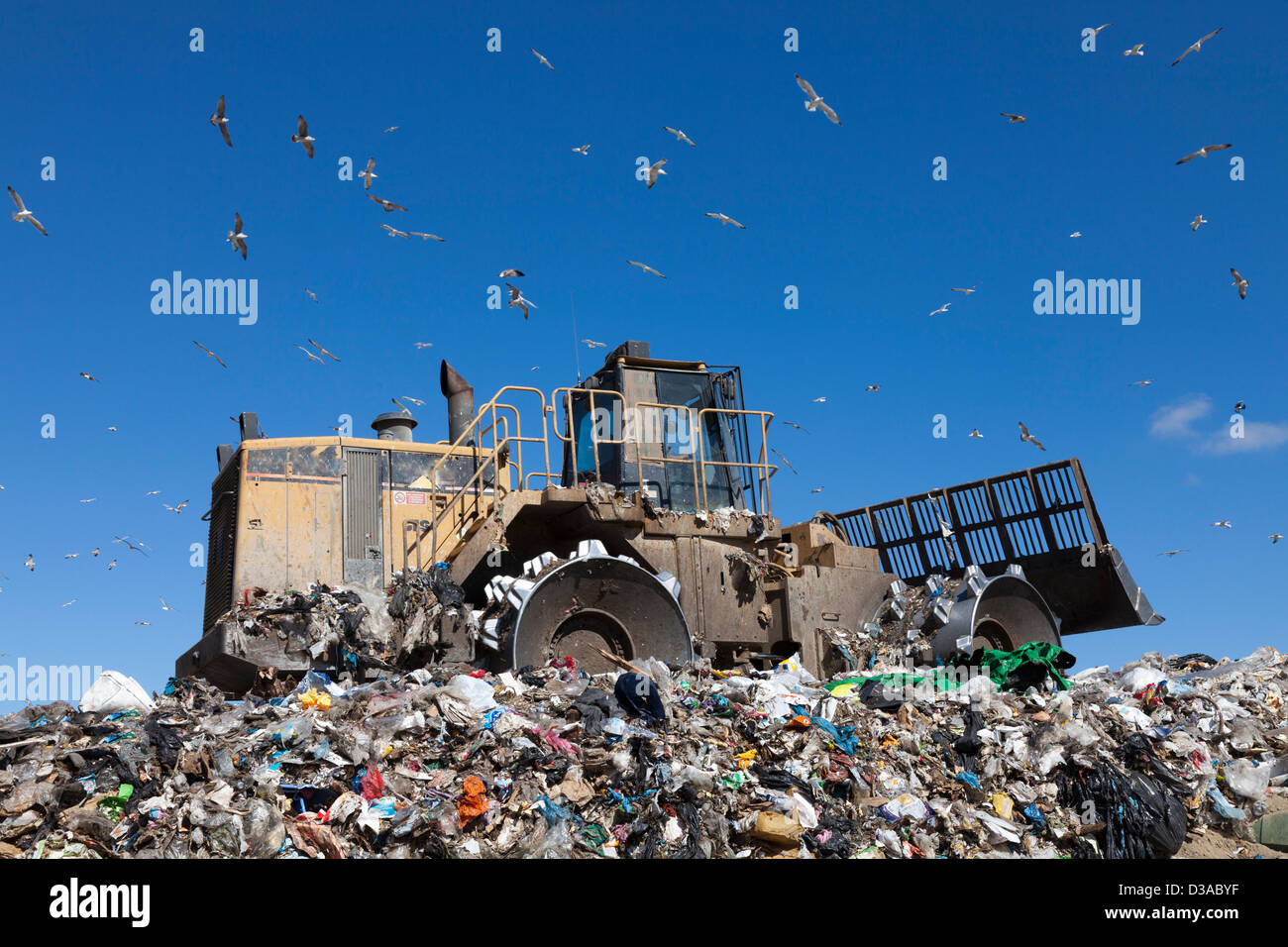 Machinery working on waste in landfill Stock Photo - Alamy