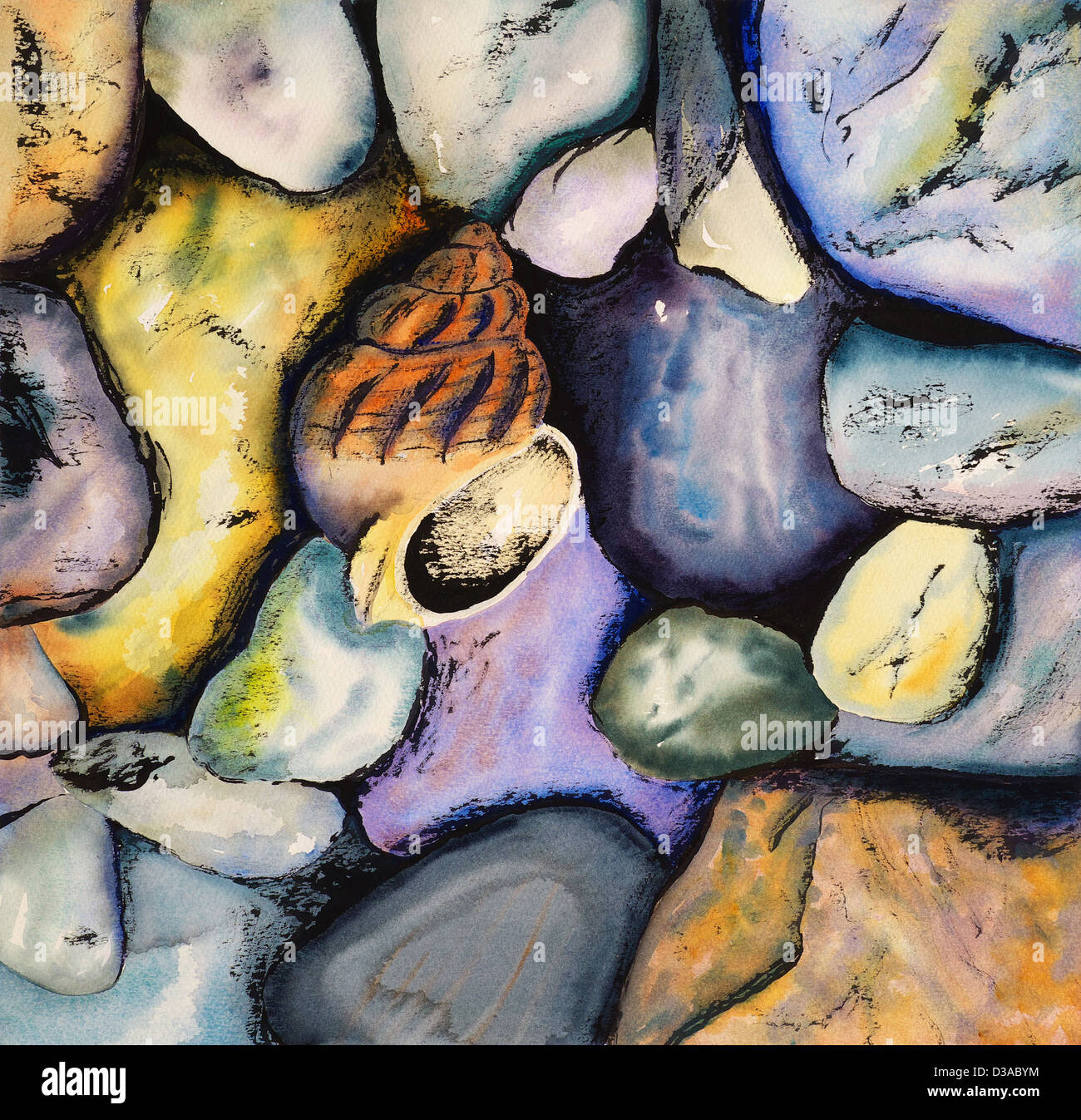 Shell Still Life Painting High Resolution Stock Photography and Images ...