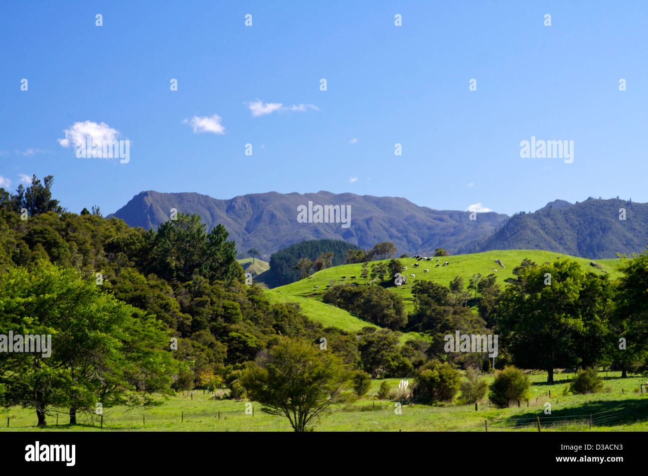 Coromandel Range High Resolution Stock Photography and Images - Alamy