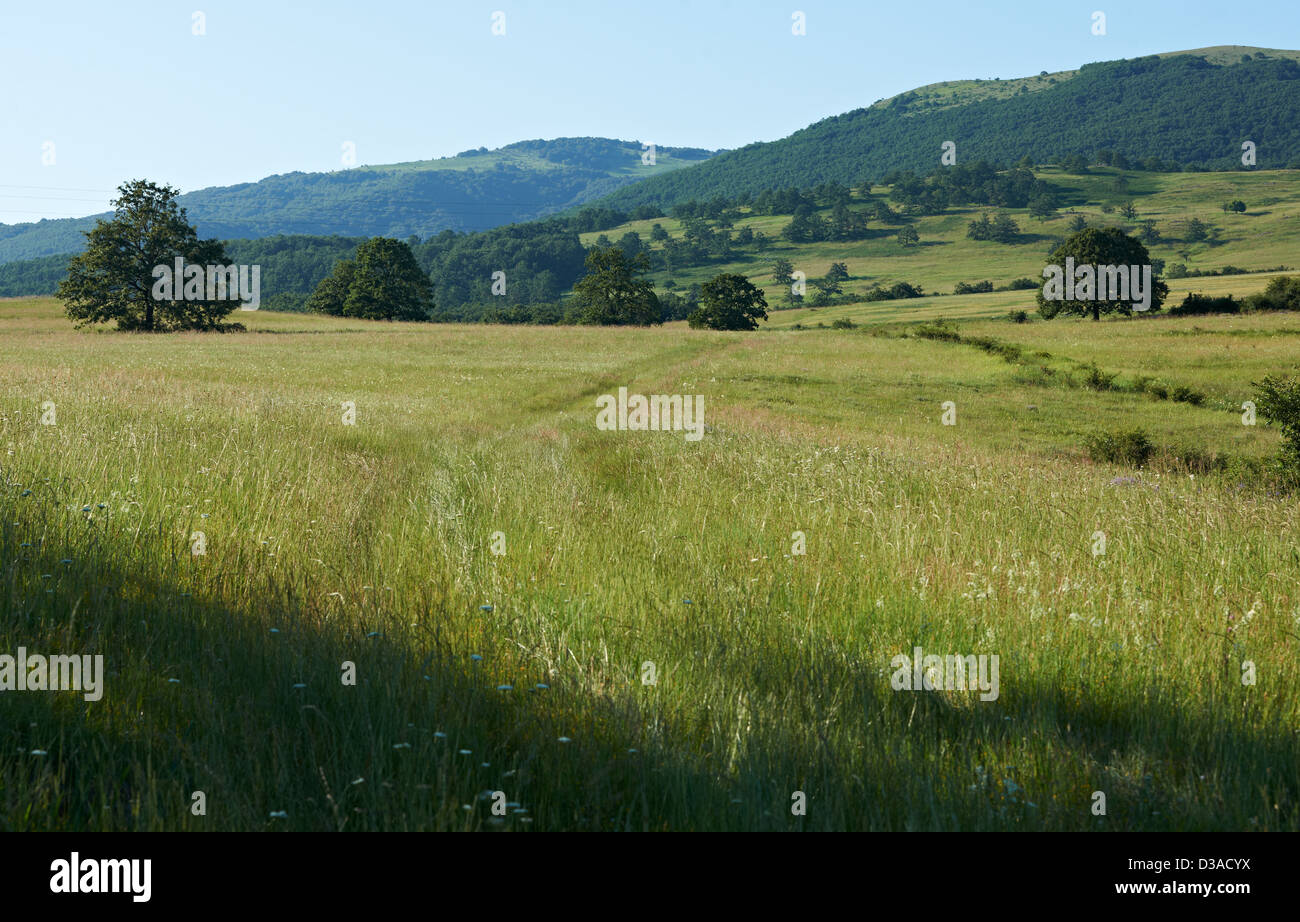 Ridges greenery hi-res stock photography and images - Alamy