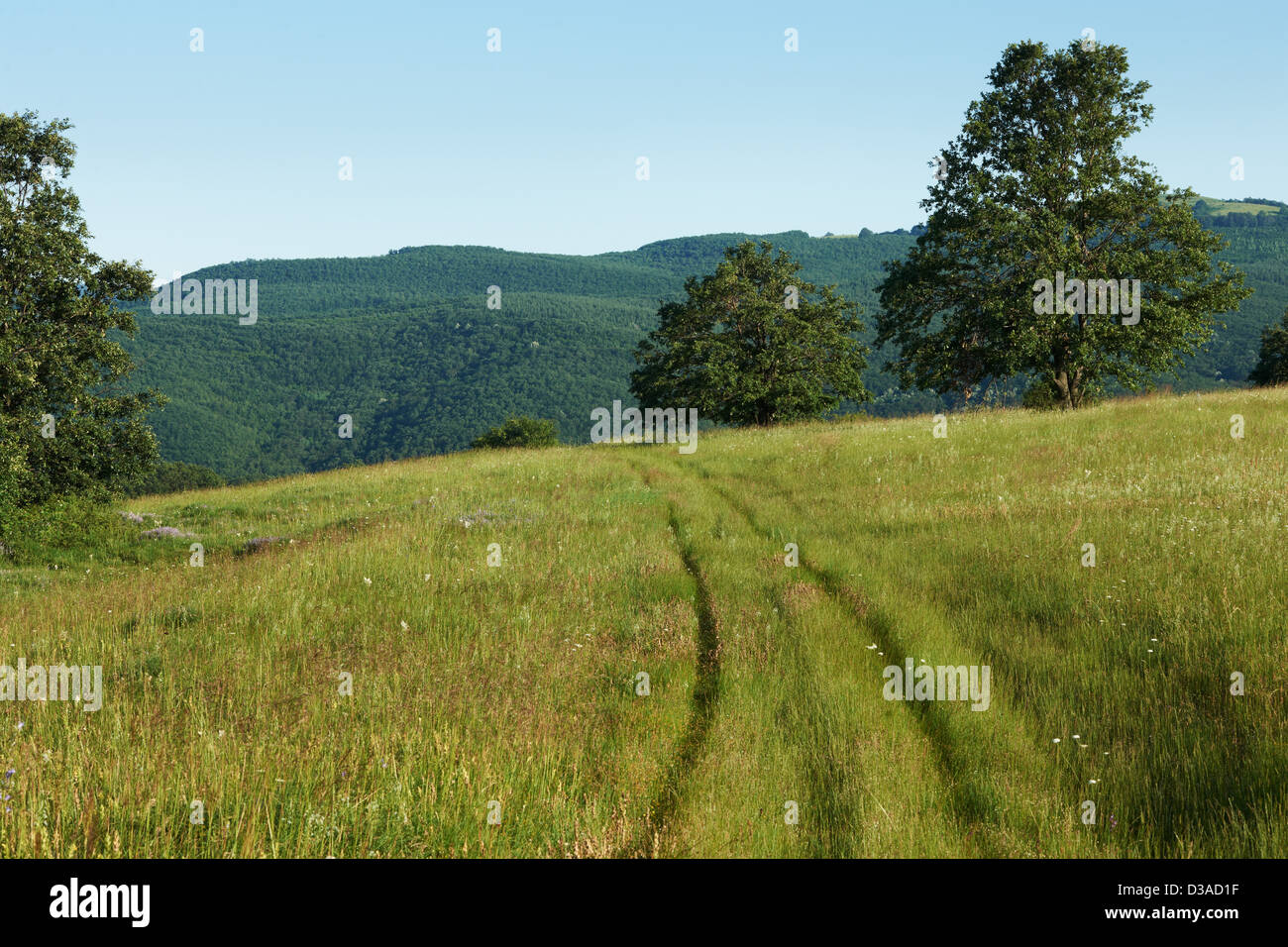 Ridges Greenery High Resolution Stock Photography and Images - Alamy